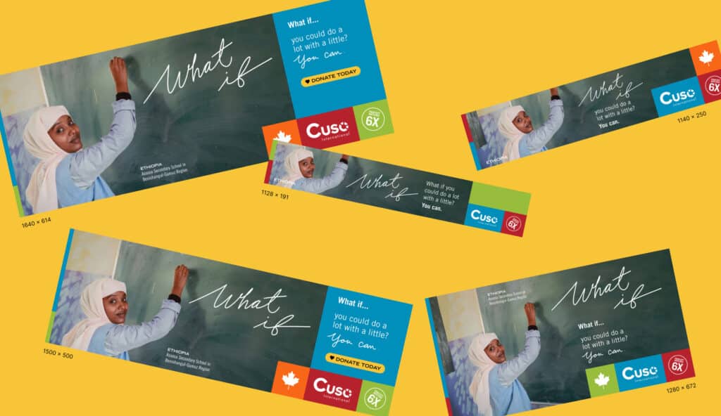 Cuso International - Briteweb