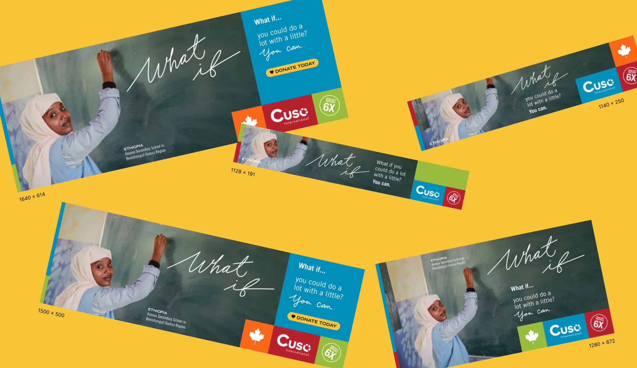 Cuso International - Briteweb