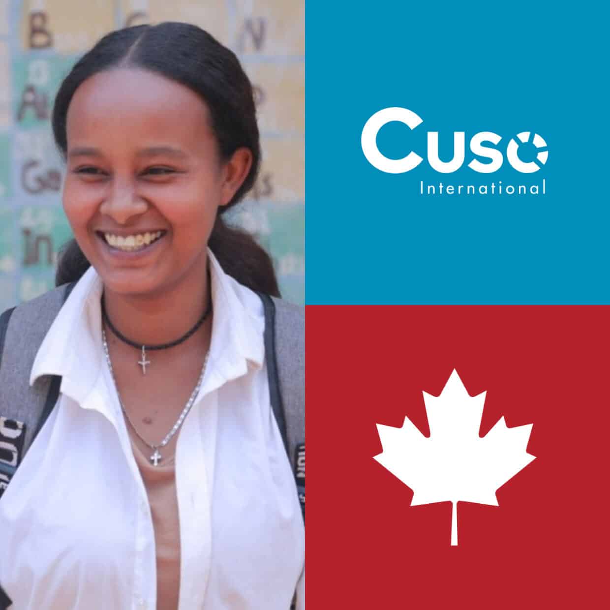 Cuso International - Briteweb