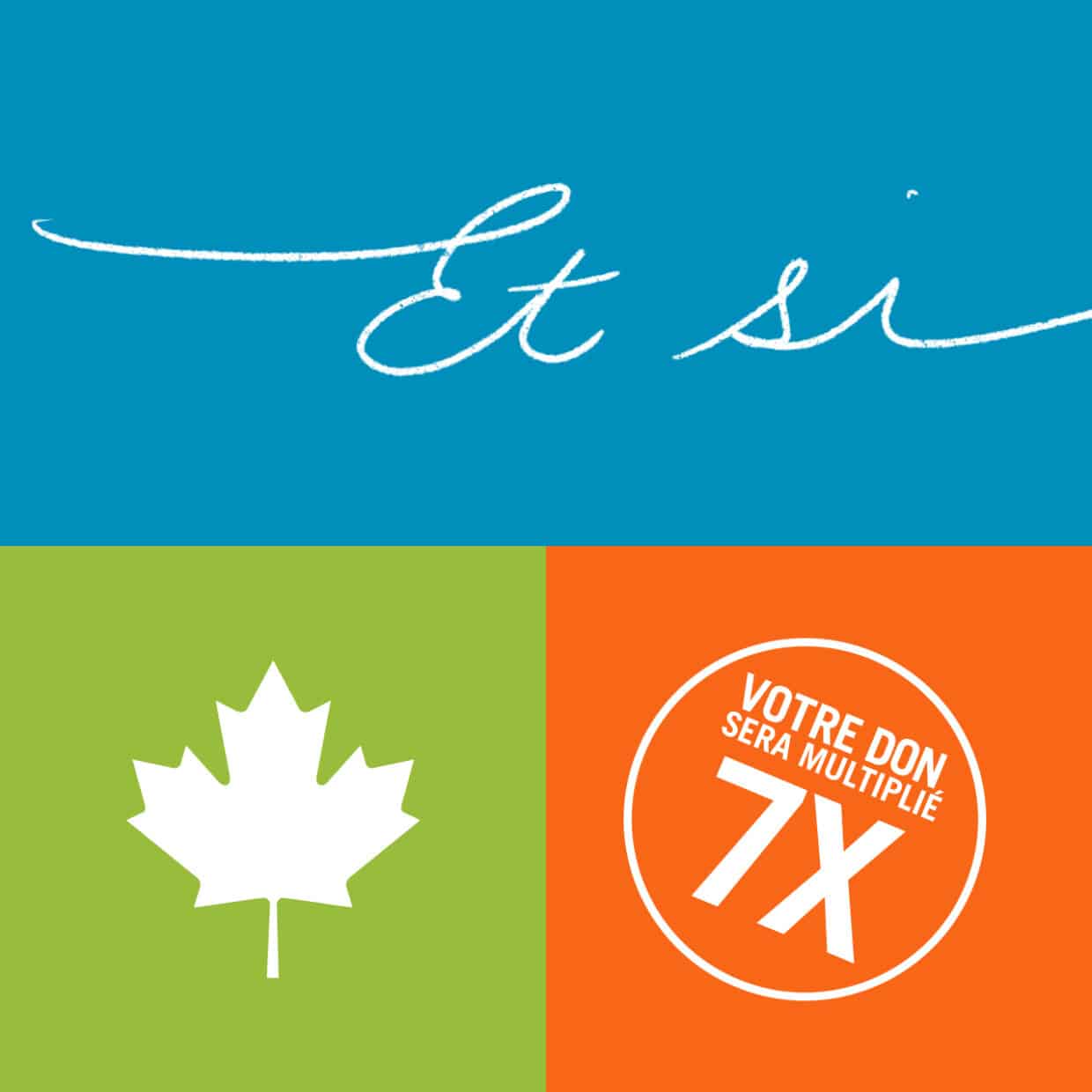 Cuso International - Briteweb